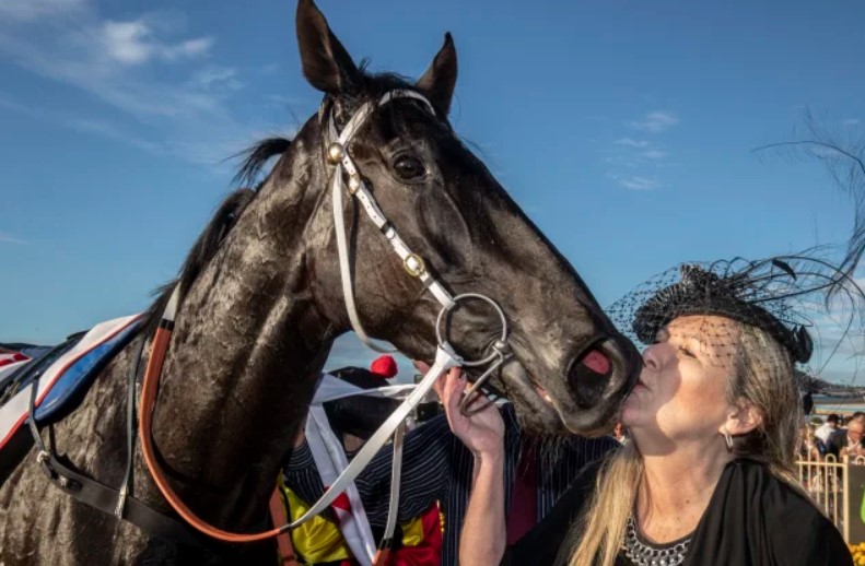 Old marvels by All American – Geisel Park