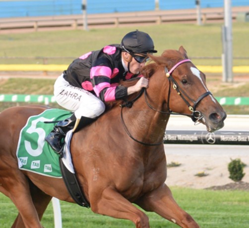 Manhattan mare on track in Melbourne – Geisel Park