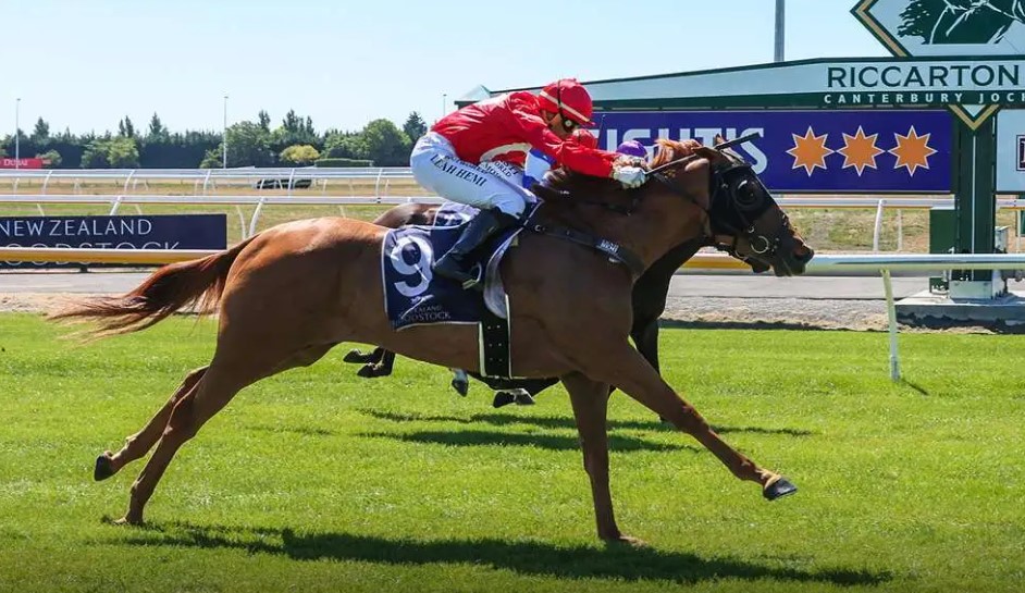 Sparkling Kiwi winner by Manhattan Rain – Geisel Park