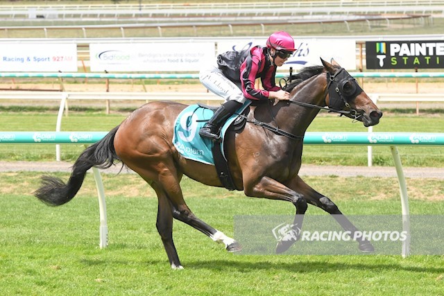 Macy builds momentum at Bendigo – Geisel Park