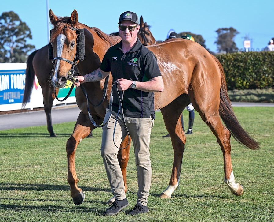 Home track suits Howley’s Hurricane – Geisel Park