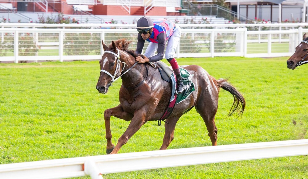 Bookies reeling with Rockin’ Rupert – Geisel Park