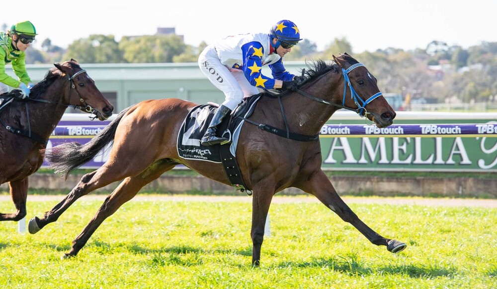 Tiger on the Move for McCallum – Geisel Park