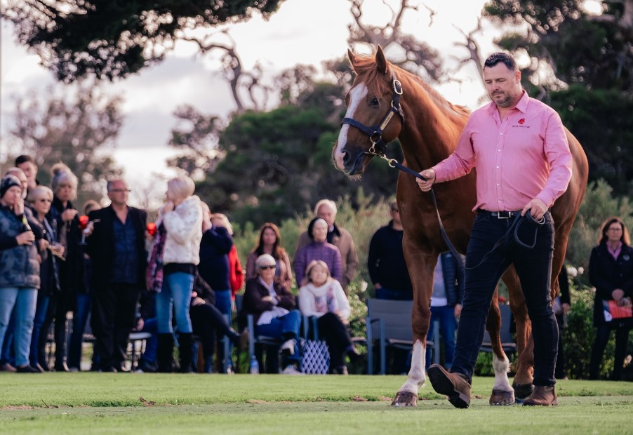 Aysar a cornerstone at Geisel Park – Geisel Park