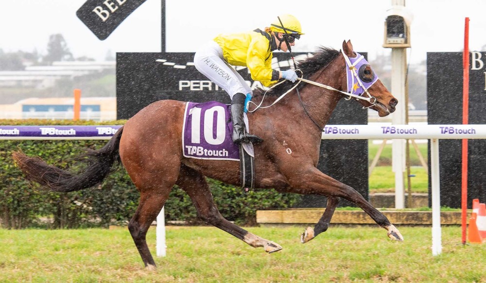 Foxy filly focused for Geisel Park – Geisel Park