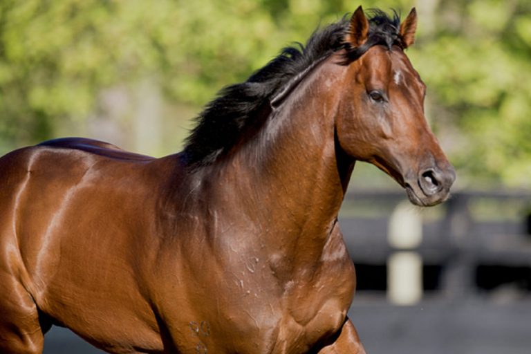 Boy Crush breakout for Manhattan Rain – Geisel Park