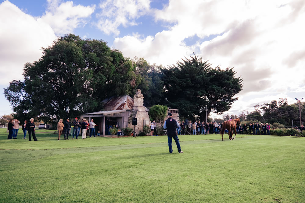 Photo Gallery – Geisel Park