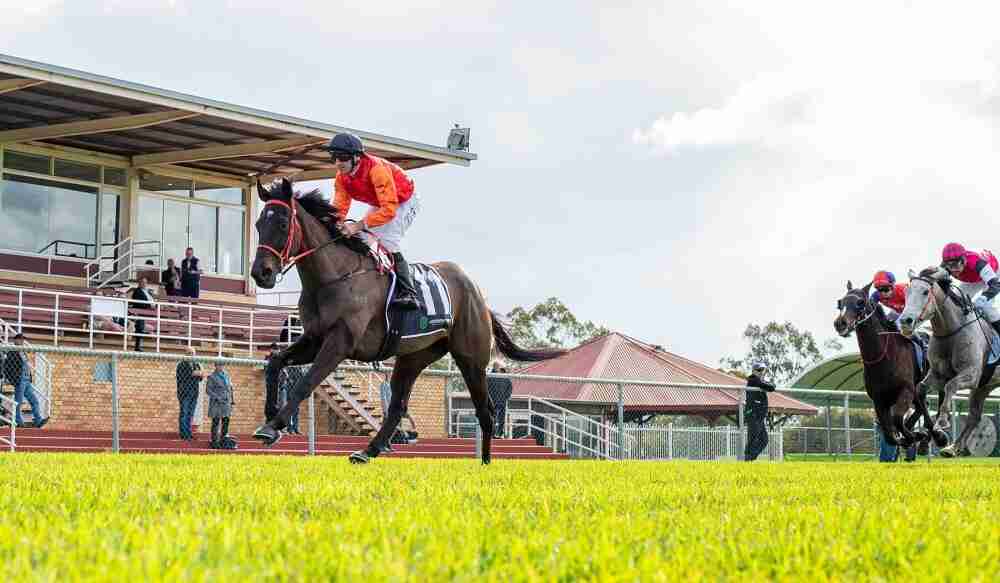 Sheila sends All American to Seventh Heaven – Geisel Park