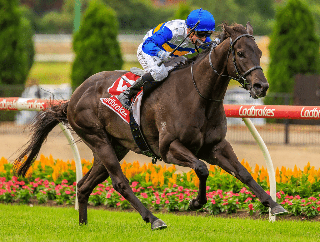 Four On the Bounce for Jigsaw – Geisel Park